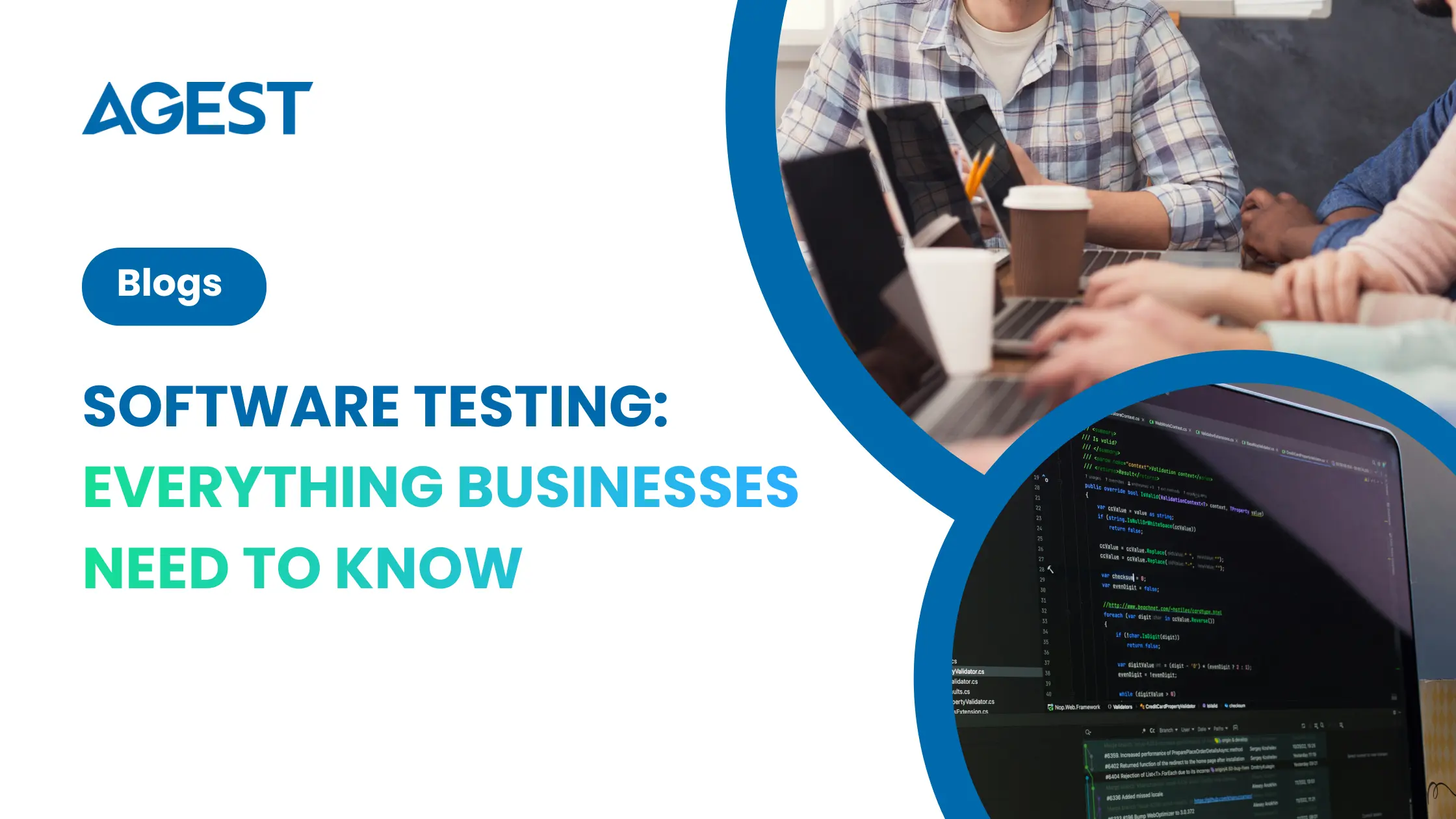 Software Testing: Everything Businesses Need to Know
